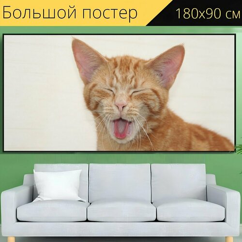 Большой постер "Кошка, домашний питомец, зевать" 180 x 90 см. для интерьера