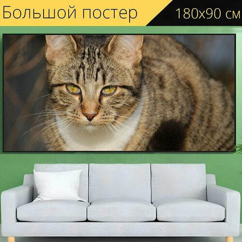Большой постер "Кот, котенок, скумбрия" 180 x 90 см. для интерьера