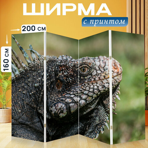Ширма перегородка с принтом "Игуана, ящерица, животное" на холсте - 200x160 см. для зонирования, раскладная