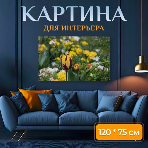 Картина на холсте "Цветок, жёлтый, тюльпан" на подрамнике 120х75 см. для интерьера