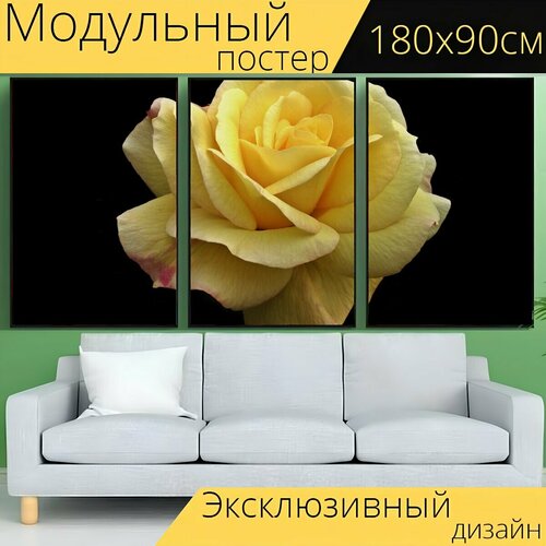 Модульный постер "Цветок, роуз, лепесток" 180 x 90 см. для интерьера