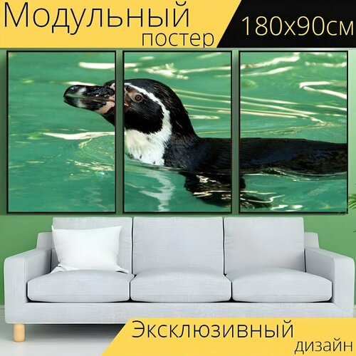 Модульный постер "Пингвин, плавать, вода" 180 x 90 см. для интерьера