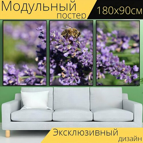 Модульный постер "Лаванда, пчела, цветок" 180 x 90 см. для интерьера