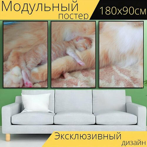 Модульный постер "Кошка, детка, котенок" 180 x 90 см. для интерьера