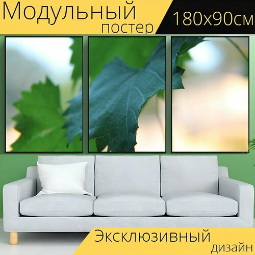 Модульный постер "Листья, природа, лоза" 180 x 90 см. для интерьера