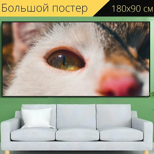 Большой постер "Глаз, кошка, животное" 180 x 90 см. для интерьера