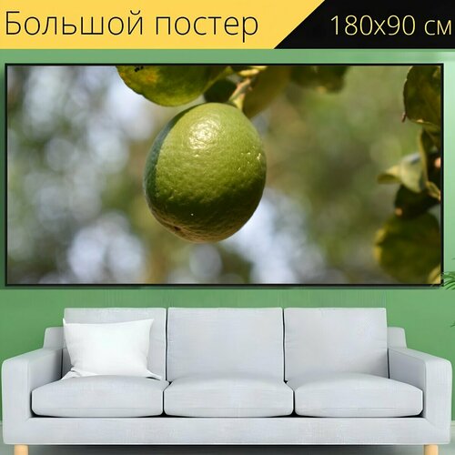 Большой постер "Лимон, фрукты, витамин" 180 x 90 см. для интерьера
