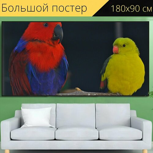 Большой постер "Природа, дикая природа, попугаи" 180 x 90 см. для интерьера