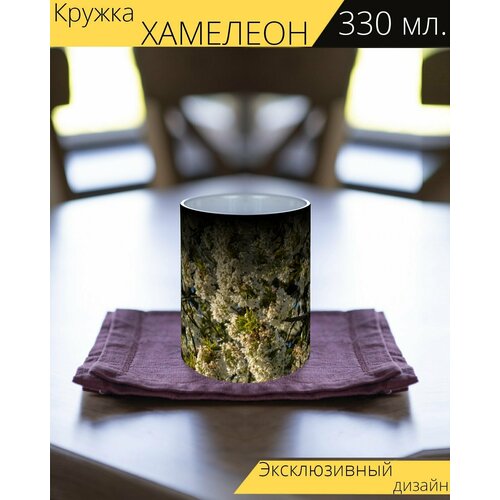 Кружка хамелеон с принтом "Фруктовое дерево цветущие, яблоневый цвет, яблоня" 330 мл.