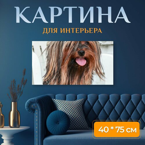 Картина на холсте "Собака, собачий, домашний питомец" на подрамнике 75х40 см. для интерьера