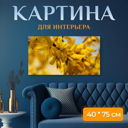 Картина на холсте "Форсайтия, золотая сирень, кустарник" на подрамнике 75х40 см. для интерьера