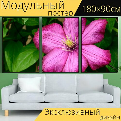 Модульный постер "Клематис, цвести, цветок" 180 x 90 см. для интерьера
