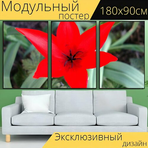 Модульный постер "Тюльпан, красный, весна" 180 x 90 см. для интерьера