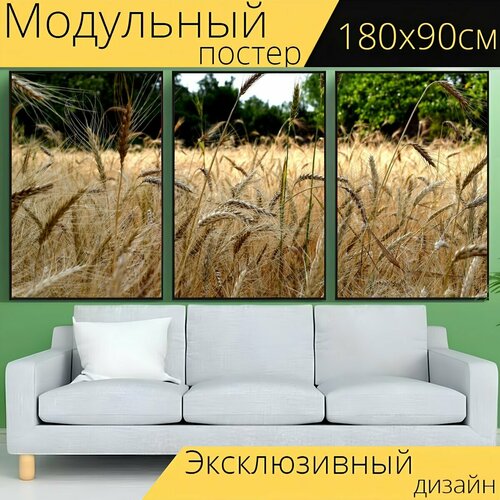 Модульный постер "Природа, пшеница, поле" 180 x 90 см. для интерьера