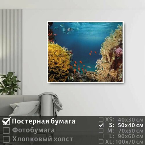Постер на стену Морские Рыбки В Коралловых Рифах 50х40 см ПолиЦентр