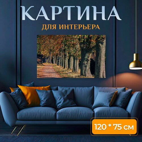Картина на холсте "Проспект, каштановый проспект, деревья" на подрамнике 120х75 см. для интерьера