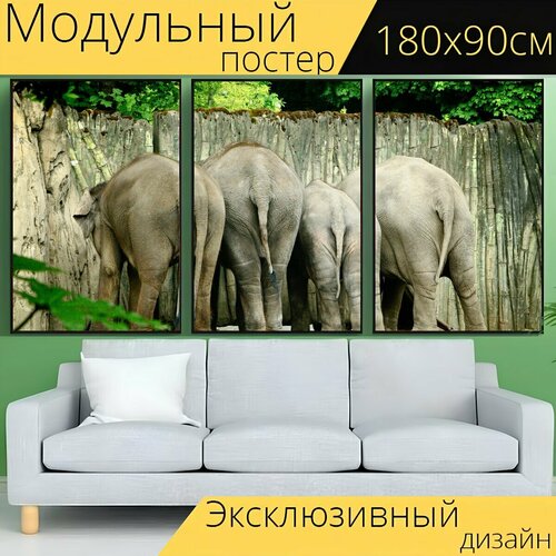Модульный постер "Слоны, стадо, толстокожий" 180 x 90 см. для интерьера