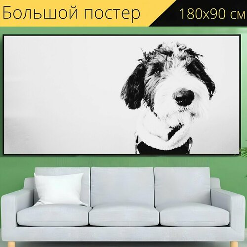 Большой постер "Собака, щенок, животное" 180 x 90 см. для интерьера