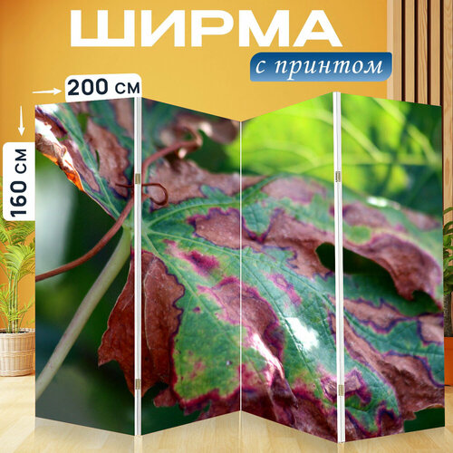 Ширма перегородка с принтом "Вайн, листы, цвета" на холсте - 200x160 см. для зонирования, раскладная
