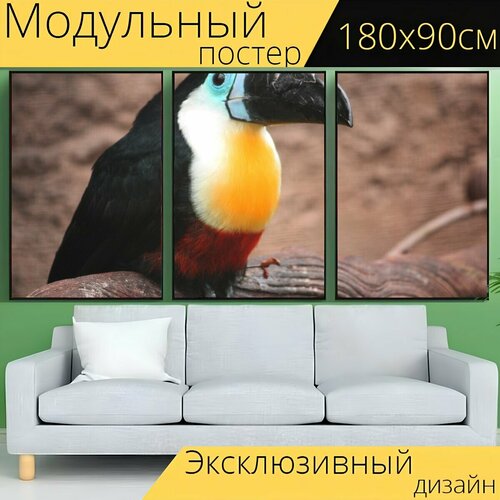 Модульный постер "Птица, тукан, экзотические" 180 x 90 см. для интерьера