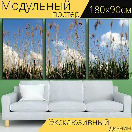 Модульный постер "Тростник, трава, облака" 180 x 90 см. для интерьера