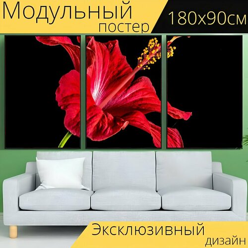 Модульный постер "Гибискус, цвести, цветок" 180 x 90 см. для интерьера