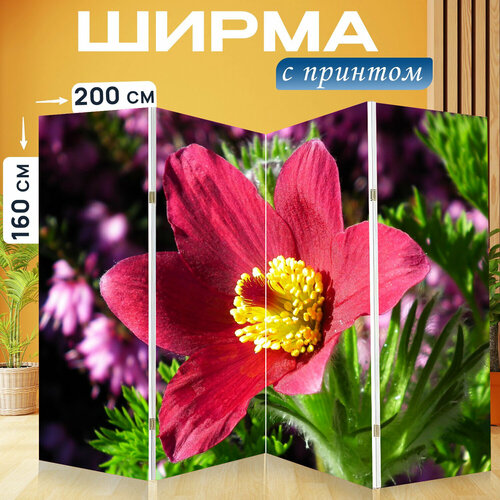 Ширма перегородка с принтом "Пасковый цветок, цветок, красный" на холсте - 200x160 см. для зонирования, раскладная