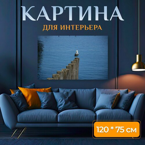 Картина на холсте "Тело из воды, море, на открытом воздухе" на подрамнике 120х75 см. для интерьера