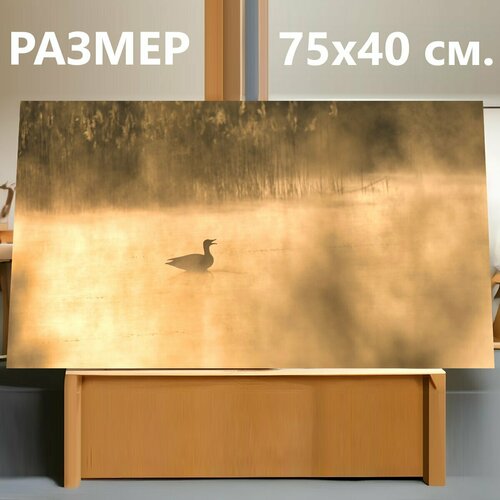 Картина на холсте "Лебедь, птица, клюв" на подрамнике 75х40 см. для интерьера