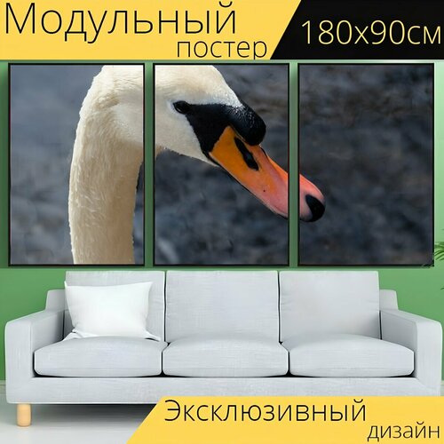 Модульный постер "Птица, природа, лебедь" 180 x 90 см. для интерьера
