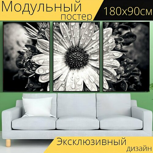 Модульный постер "Мыс корзина, цветок, композиты" 180 x 90 см. для интерьера