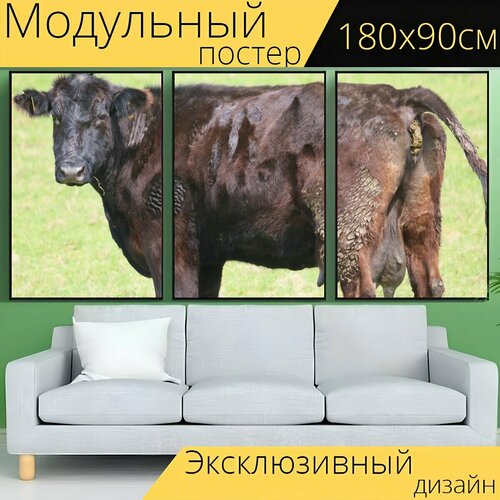 Модульный постер "Корова, говядина, луг" 180 x 90 см. для интерьера