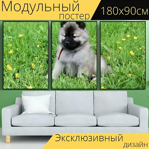 Модульный постер "Собака, щенок, молодая собака" 180 x 90 см. для интерьера