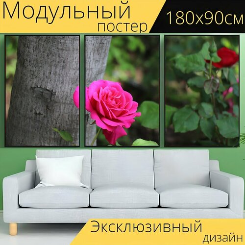 Модульный постер "Роза, парк роз, парк" 180 x 90 см. для интерьера