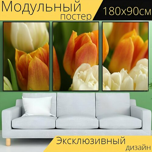 Модульный постер "Тюльпаны, цветы, завод" 180 x 90 см. для интерьера