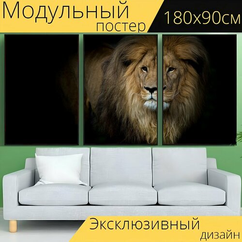 Модульный постер "Лев, хищник, африке" 180 x 90 см. для интерьера