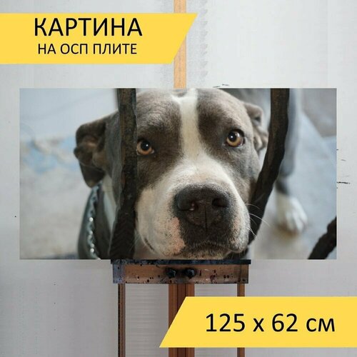 Картина на ОСП 125х62 см. "Собака, щенок, собачий" горизонтальная, для интерьера, с креплениями