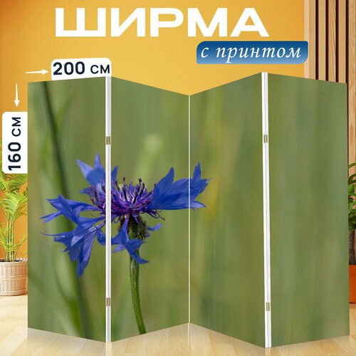 Ширма перегородка с принтом "Природа, цветок, весна" на холсте - 200x160 см. для зонирования, раскладная