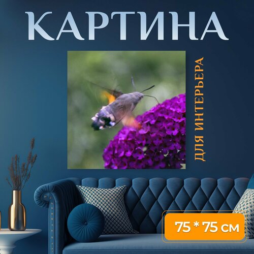 Картина на холсте "Бабочка, насекомое, цветок" на подрамнике 75х75 см. для интерьера