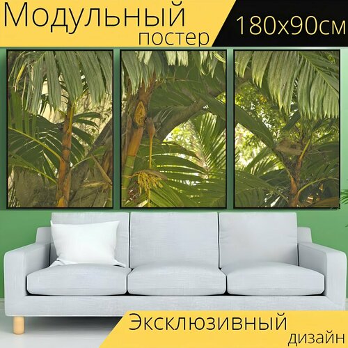 Модульный постер "Ладони, пальма, вайя" 180 x 90 см. для интерьера