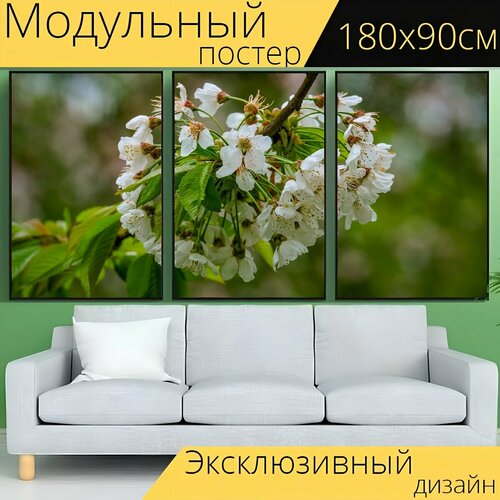 Модульный постер "Весна, цветы, вишня" 180 x 90 см. для интерьера