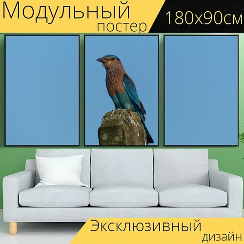 Модульный постер "Птица, синий, природа" 180 x 90 см. для интерьера