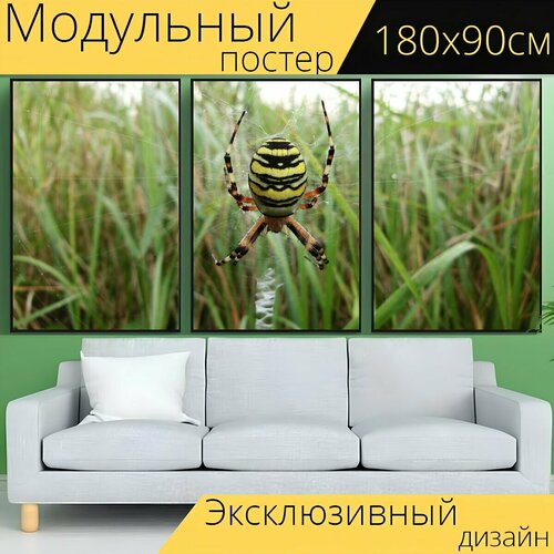 Модульный постер "Оса паук, трава, зеленый" 180 x 90 см. для интерьера