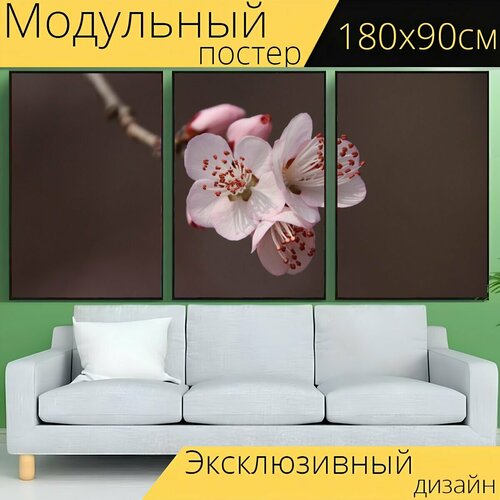 Модульный постер "Персиковый цвет, цветы, весна" 180 x 90 см. для интерьера