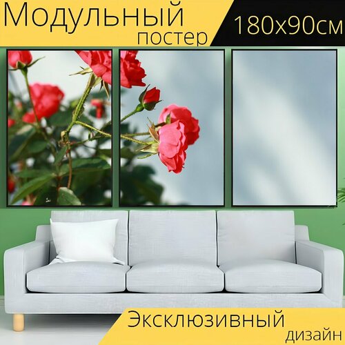 Модульный постер "Цветок, роза, солнечный" 180 x 90 см. для интерьера