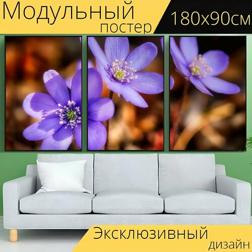 Модульный постер "Цветок, лесной цветок, весна" 180 x 90 см. для интерьера