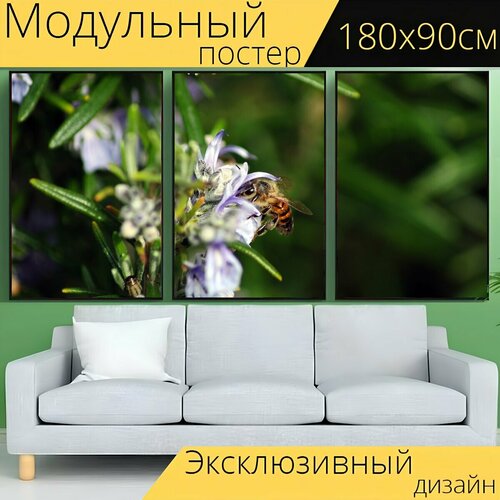 Модульный постер "Пчела, цветок, розмари" 180 x 90 см. для интерьера