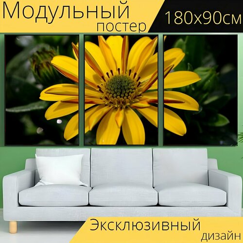 Модульный постер "Желтый цветок, маргаритка, цветы герберы комнатные" 180 x 90 см. для интерьера