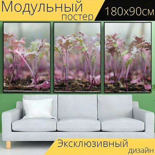 Модульный постер "Сад, капуста, розовый" 180 x 90 см. для интерьера