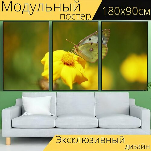 Модульный постер "Бабочка, насекомое, жук" 180 x 90 см. для интерьера